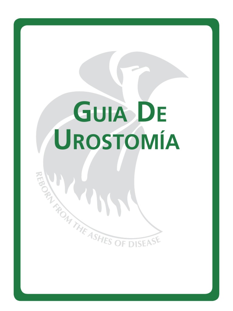 Guía Urostomia | PDF | Sistema urinario | Enfermería