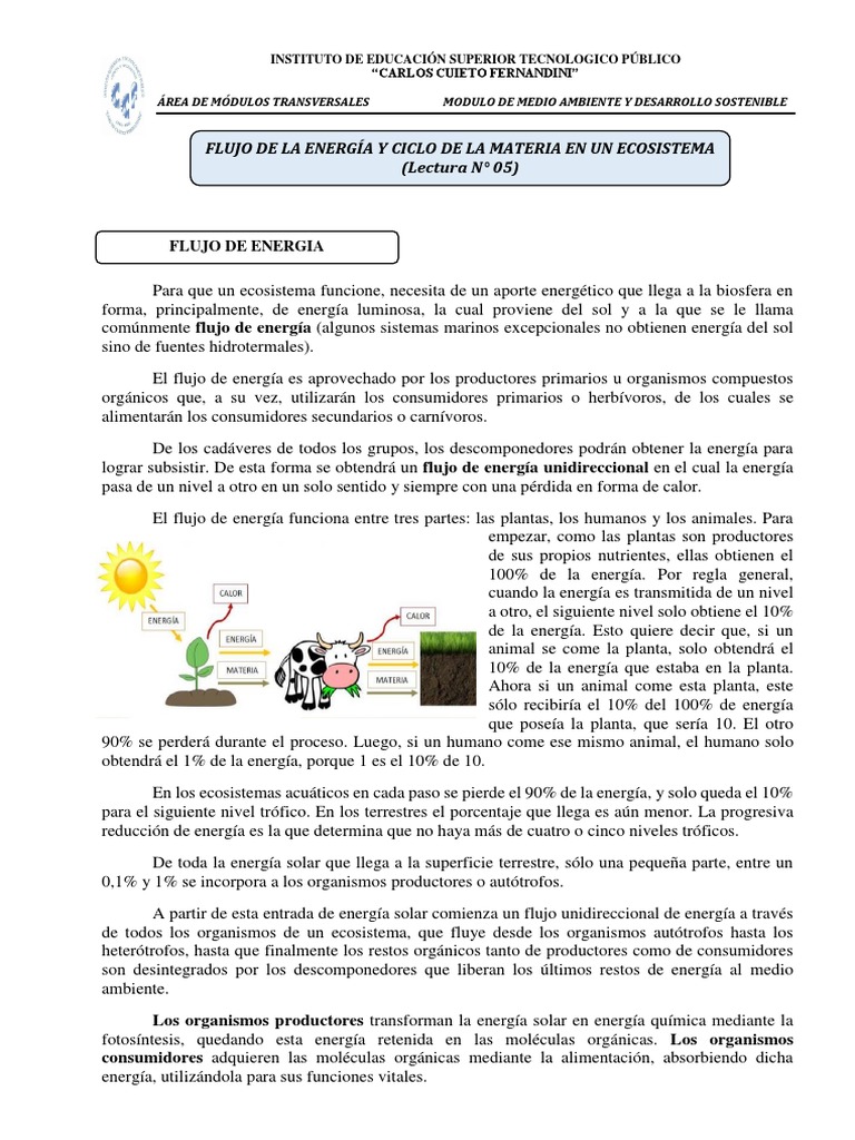 Flujo de Energia y Ciclo de La Materia en El Ecosistema-2018 | PDF ...