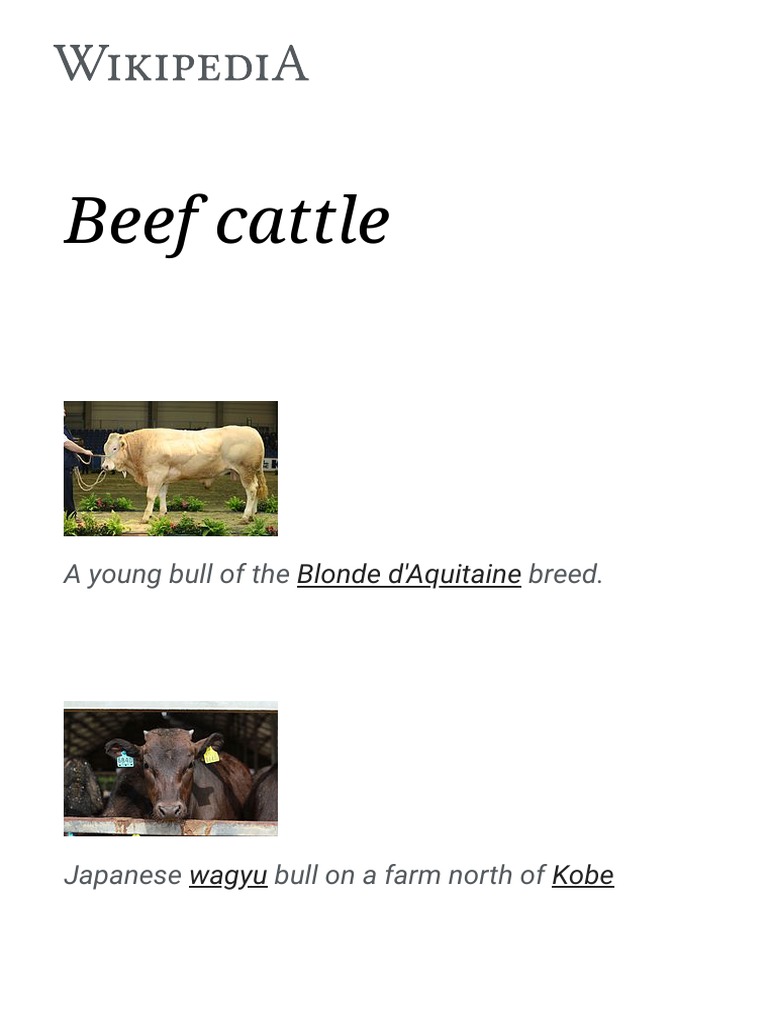 Beef Cattle | PDF | Cattle | Breeds