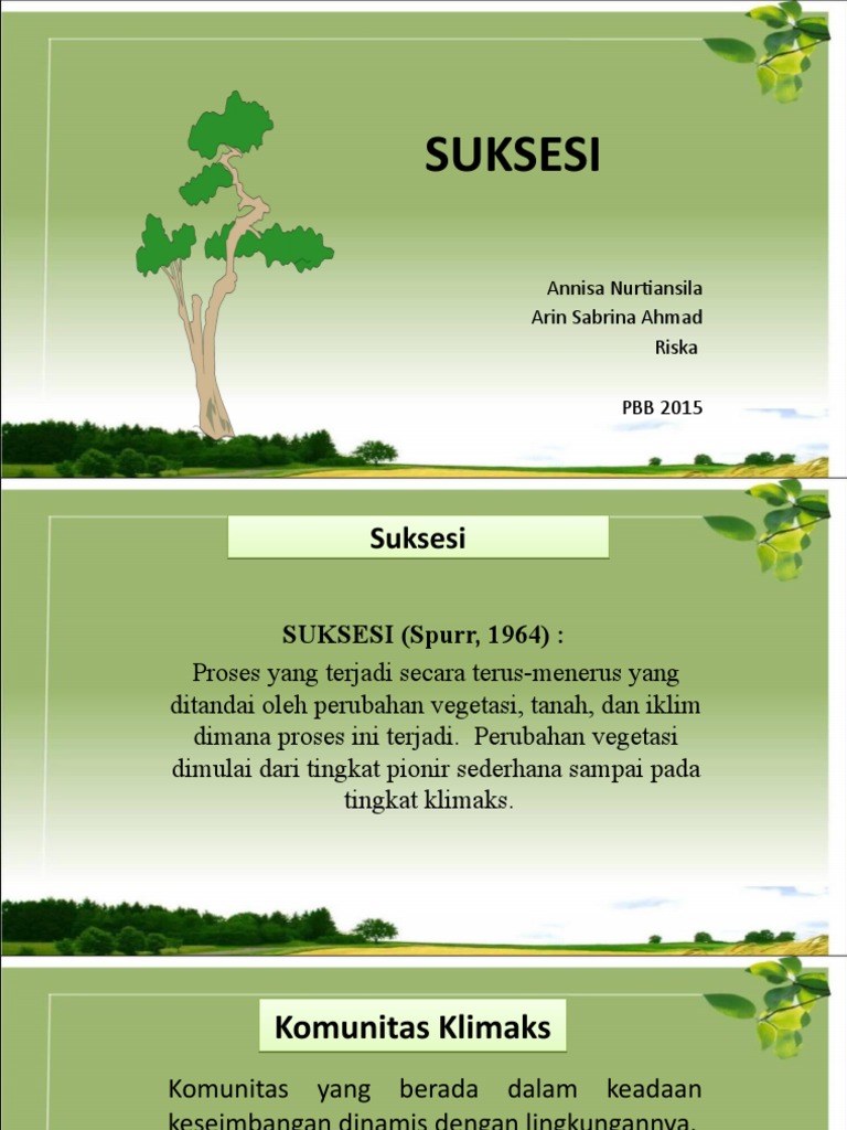 Suksesi Pdf