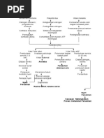 Pathway Anemia | PDF
