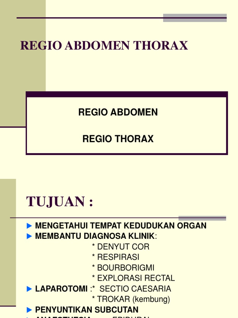 Regio Abdomen Thorax | PDF