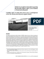 Proyecto de Locote en Paraguay | PDF | Pimiento | Economias
