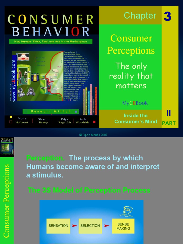 Consumer Perceptions: The Only Reality That Matters | PDF | Perception ...