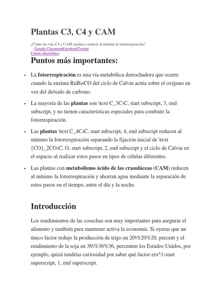 Plantas C3 | PDF | Fotossíntese | Fisiologia