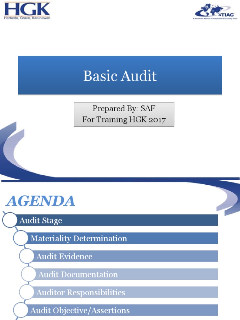 Basic Audit 2017 | PDF | Audit | Financial Audit