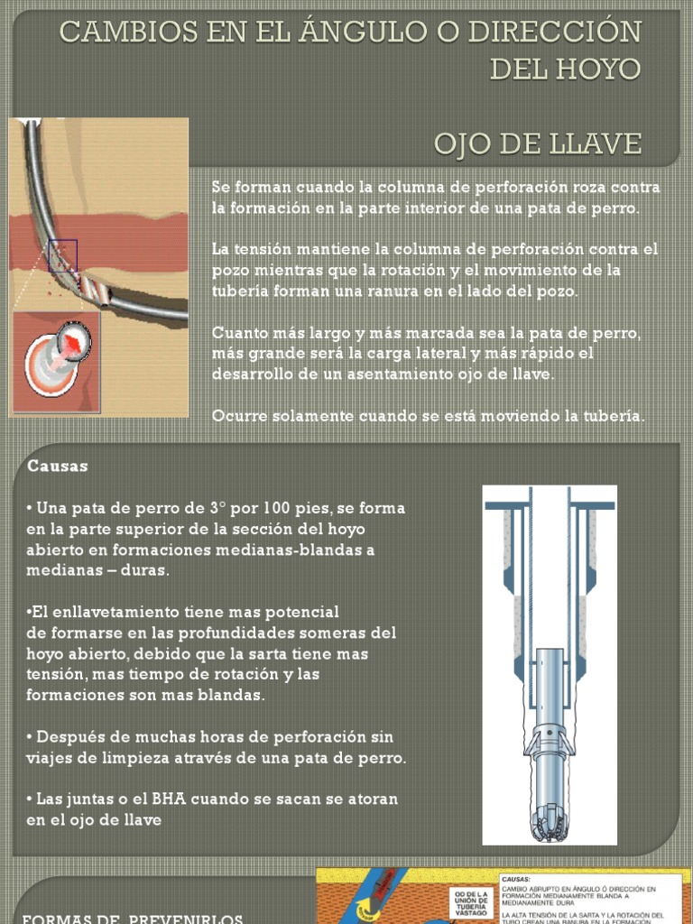 Ojo de Llave | PDF | Perros | Naturaleza