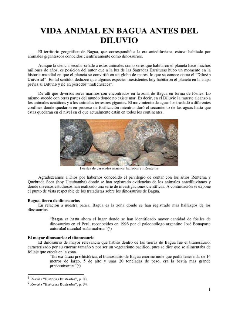 Vida Animal en Bagua Antes Del Diluvio | PDF | Dinosaurios | Mito de la ...