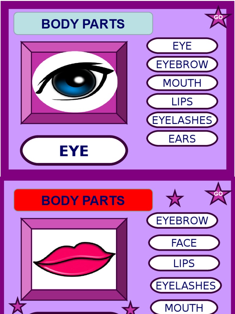 Body Parts: EYE Eyebrow Mouth Lips Eyelashes Ears | PDF
