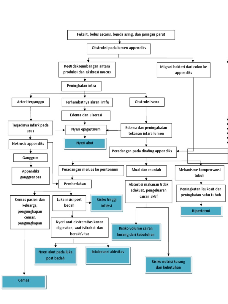 Pathway Apendisitis | PDF