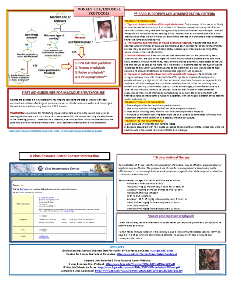 Monkey Bite Protocol | PDF | Rabies | Infection