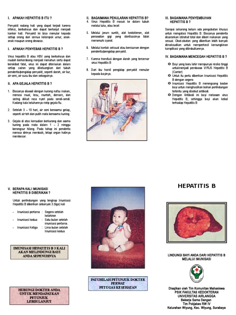 Leaflet Hepatitis B | PDF