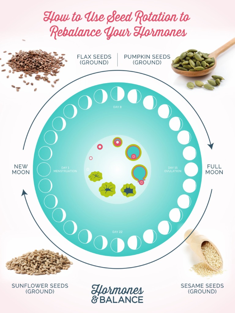 Seed Rotation Ebook Final 2 | PDF | Menstrual Cycle | Menopause