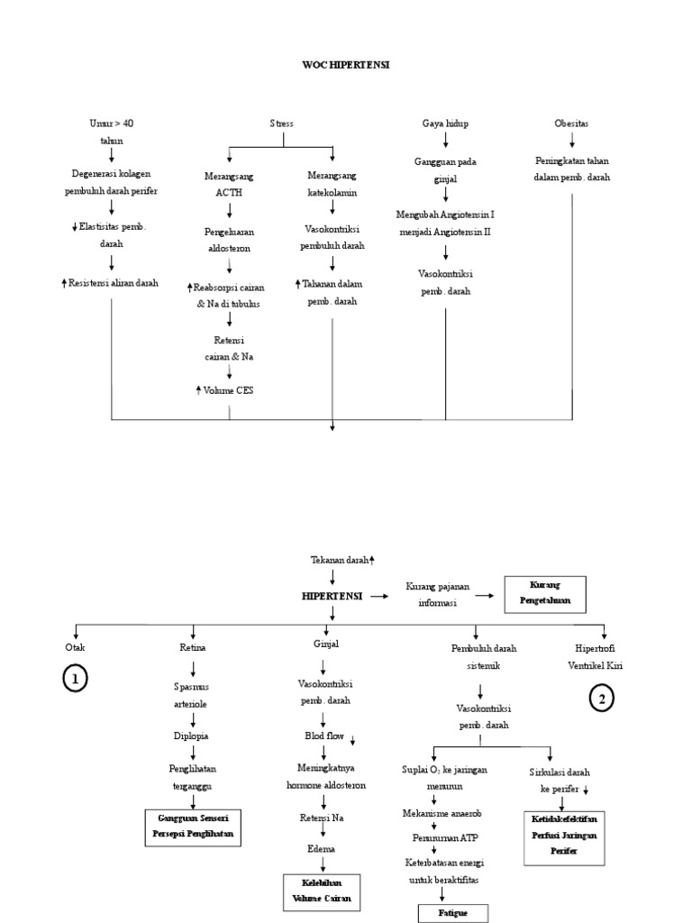 Woc HIPERTENSI Gerontik Ristya | PDF