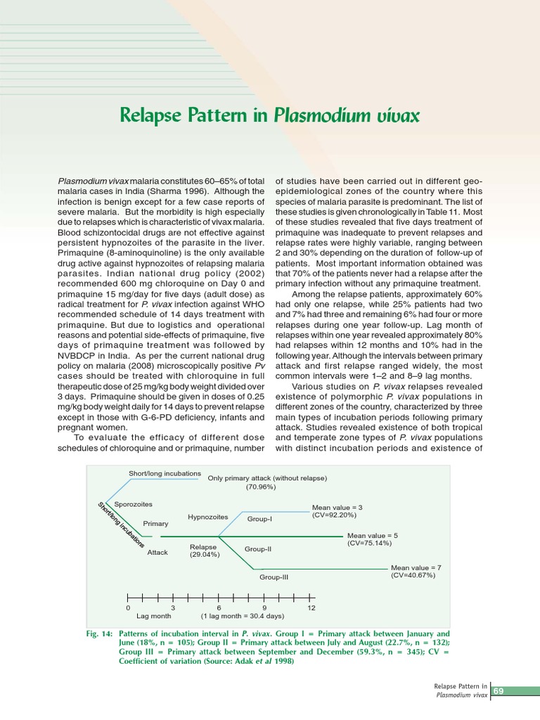 Relapse Pattern in Plasmodium Vivax | PDF | Malaria | Medicine