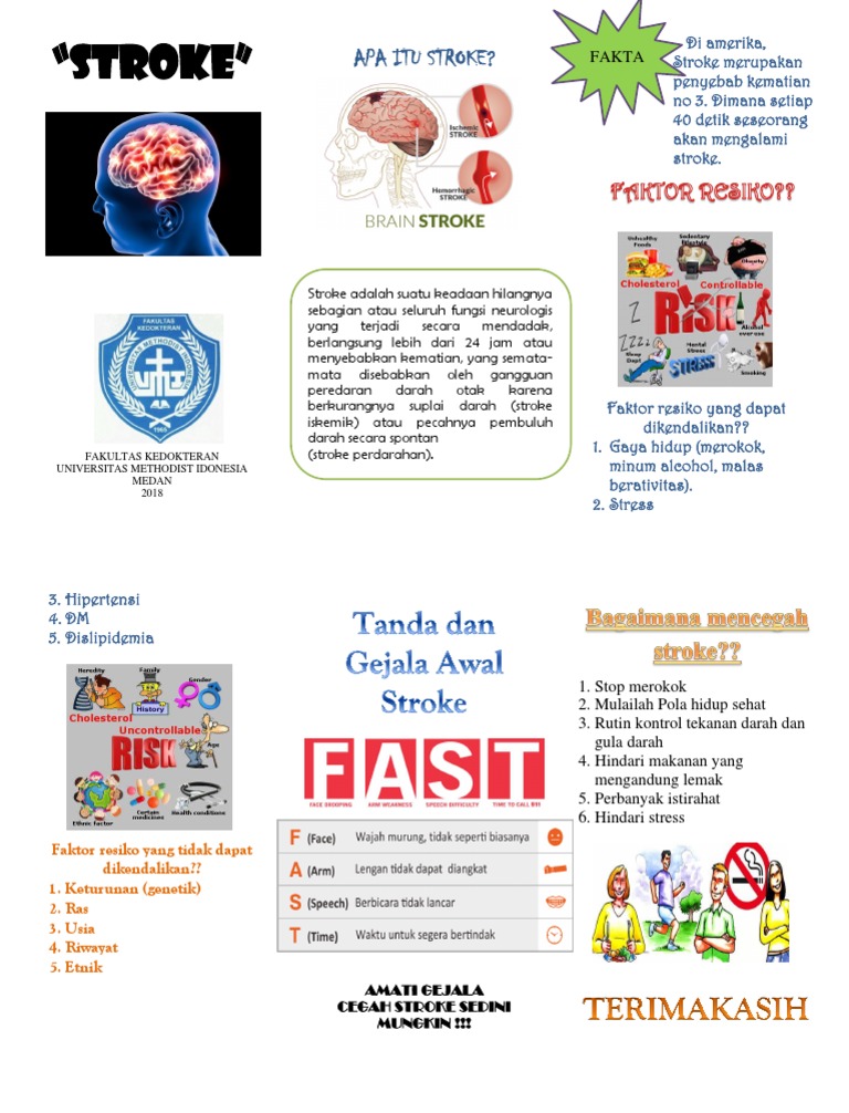 Leaflet Stroke | PDF
