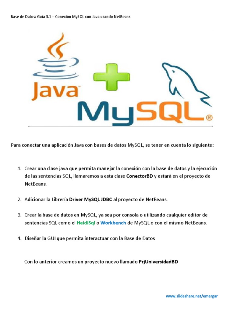 Guia BD Conexion My SQL Con Java Usando Net Beans 4 | PDF | Frijoles Netos | Aplicaciones y software