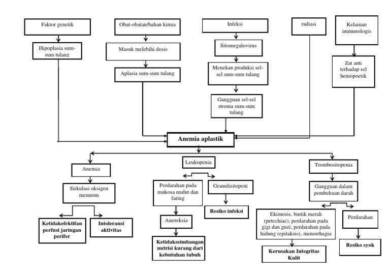Woc Anemia Aplastik | PDF