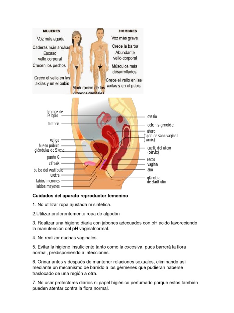 Cuidados Del Aparato Reproductor Femenino Pdf