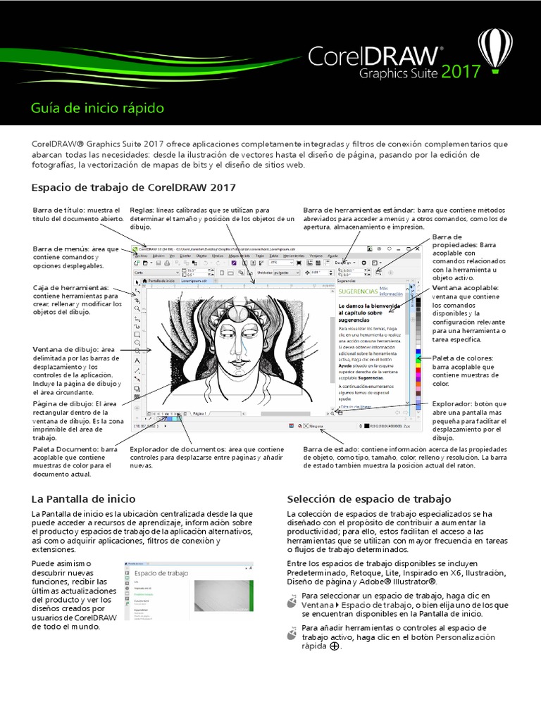 Coreldraw Graphics Suite 2017 Pdf Point And Click Ventana Informática