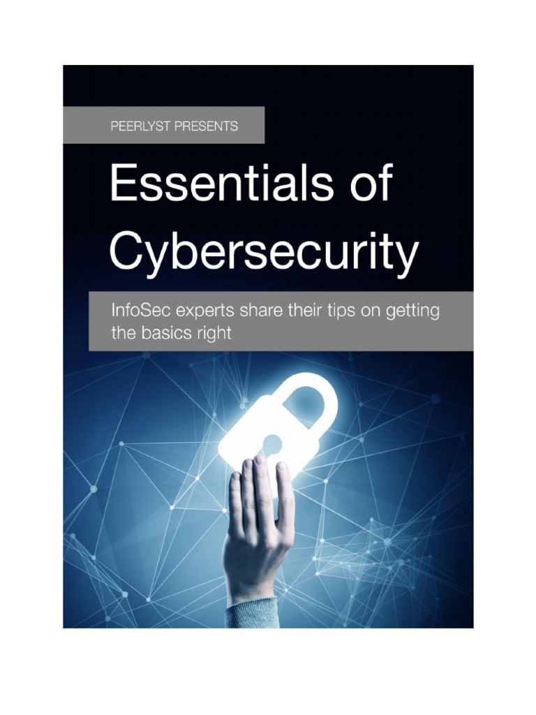 Essentials of Cyber Security | PDF | Payment Card Industry Data ...