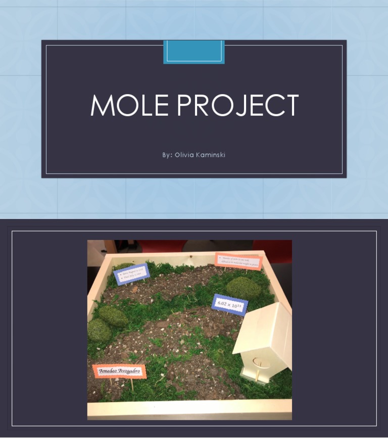 Mole Project: By: Olivia Kaminski | PDF