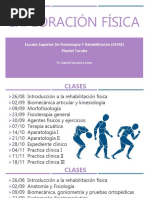 Laminación de Rexed | PDF | Médula espinal | Cerebelo