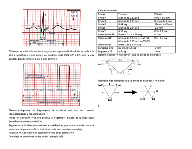 Resumen de Electrocardiograma | Electrocardiografía | Medicina interna