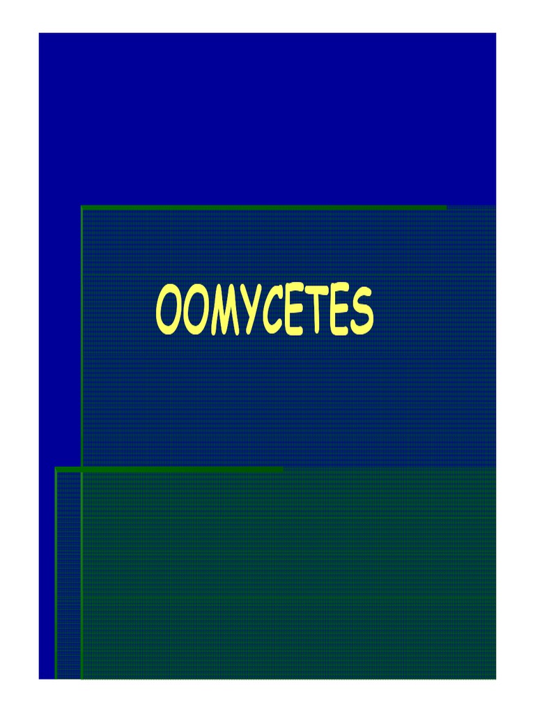 Caracterización de los oomicetos: Reino, clases, órdenes, familias y ...