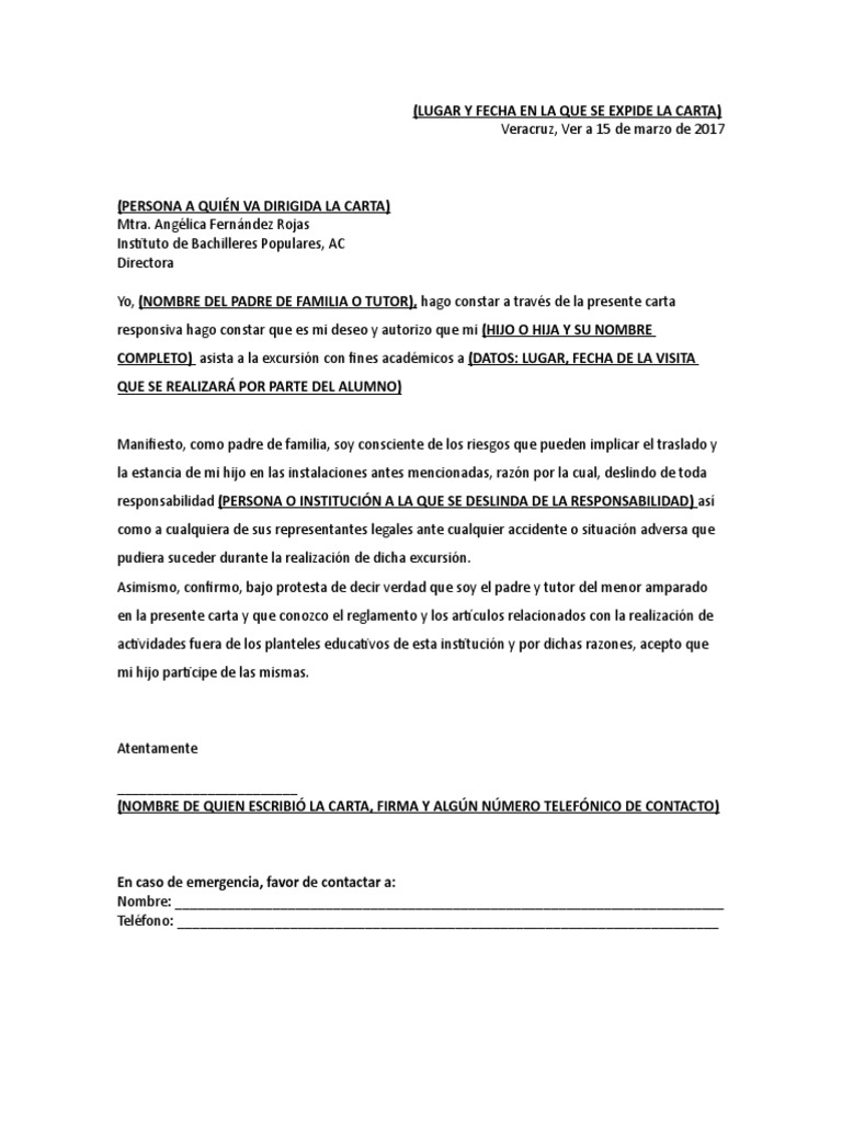 Formato Carta Responsiva Escolar Formato Carta Responsiva Escolar