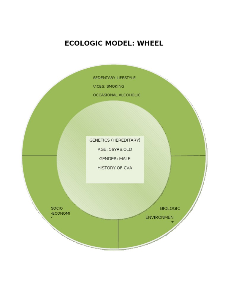 Ecologic Model NRMF | PDF | Stroke | Bleeding