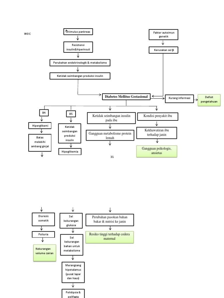 Woc DM Gestasional | PDF