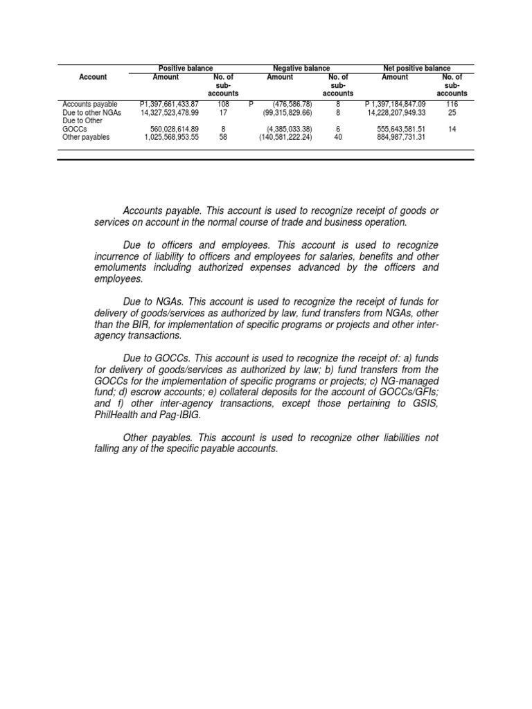 Positive Balance Negative Balance Net Positive Balance Account Amount ...