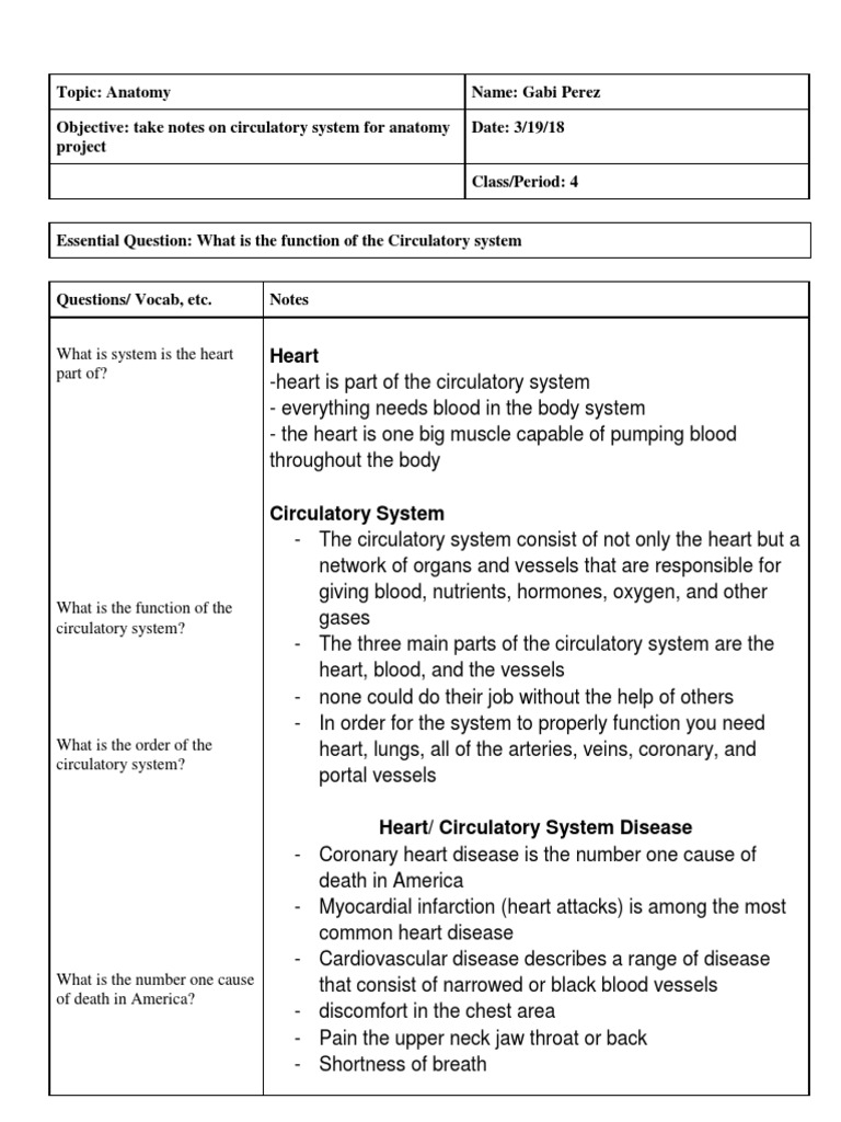 Cornell Notes Template | PDF | Circulatory System | Coronary Artery Disease