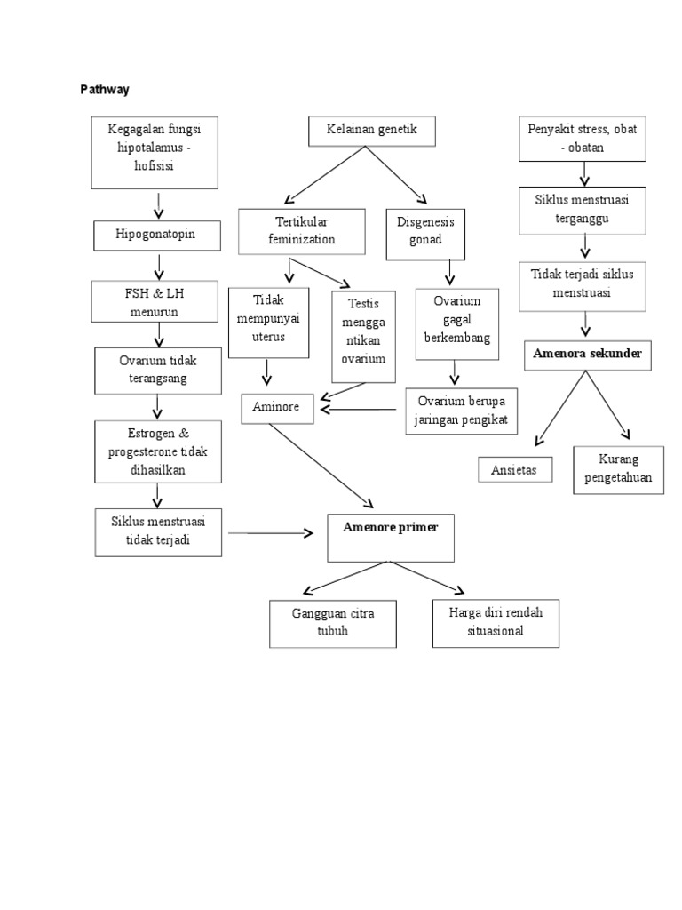 Pathway II | PDF