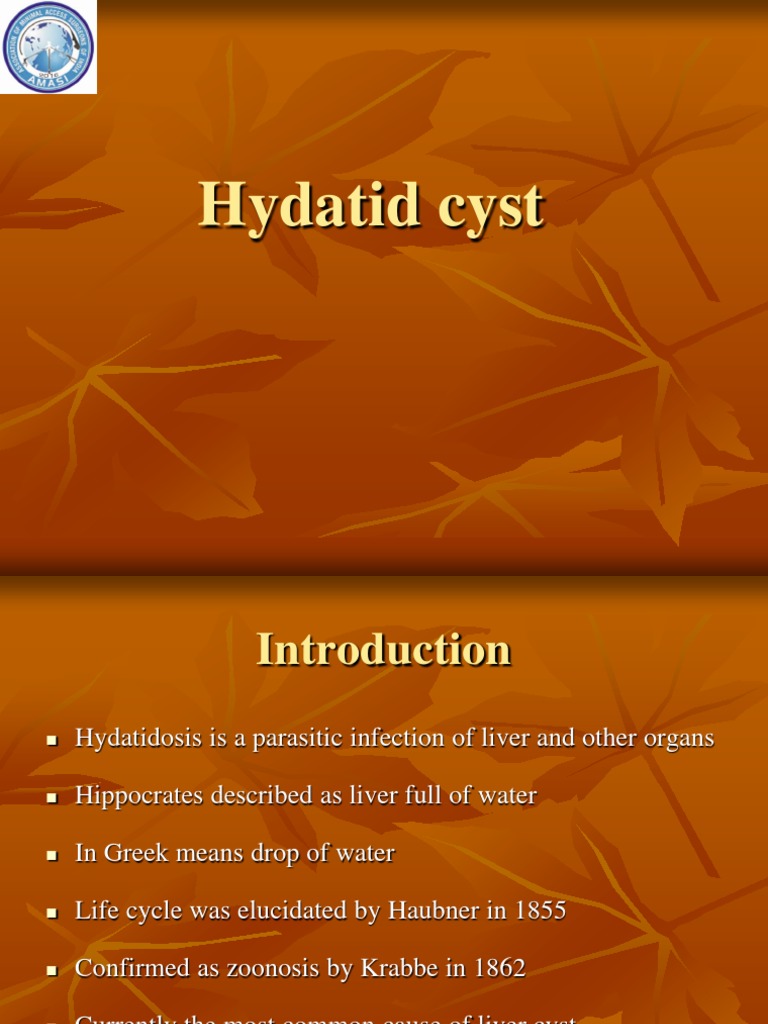 A Comprehensive Review of Hydatid Cyst: Etiology, Pathogenesis ...