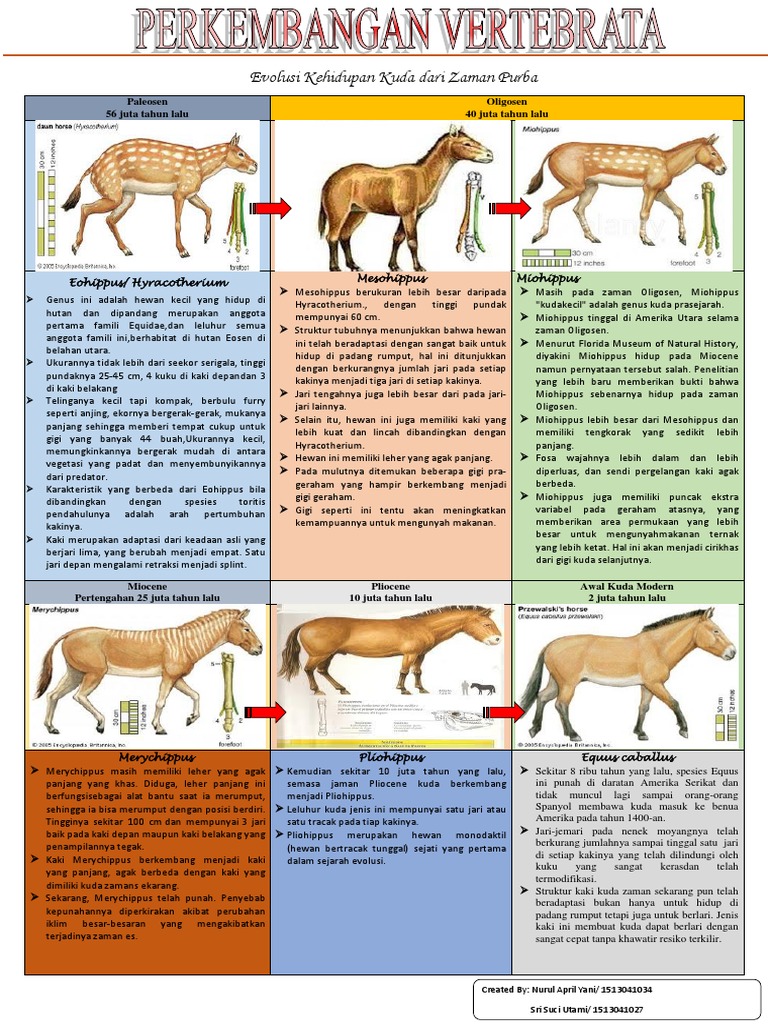 Evolusi Poster Kuda | PDF
