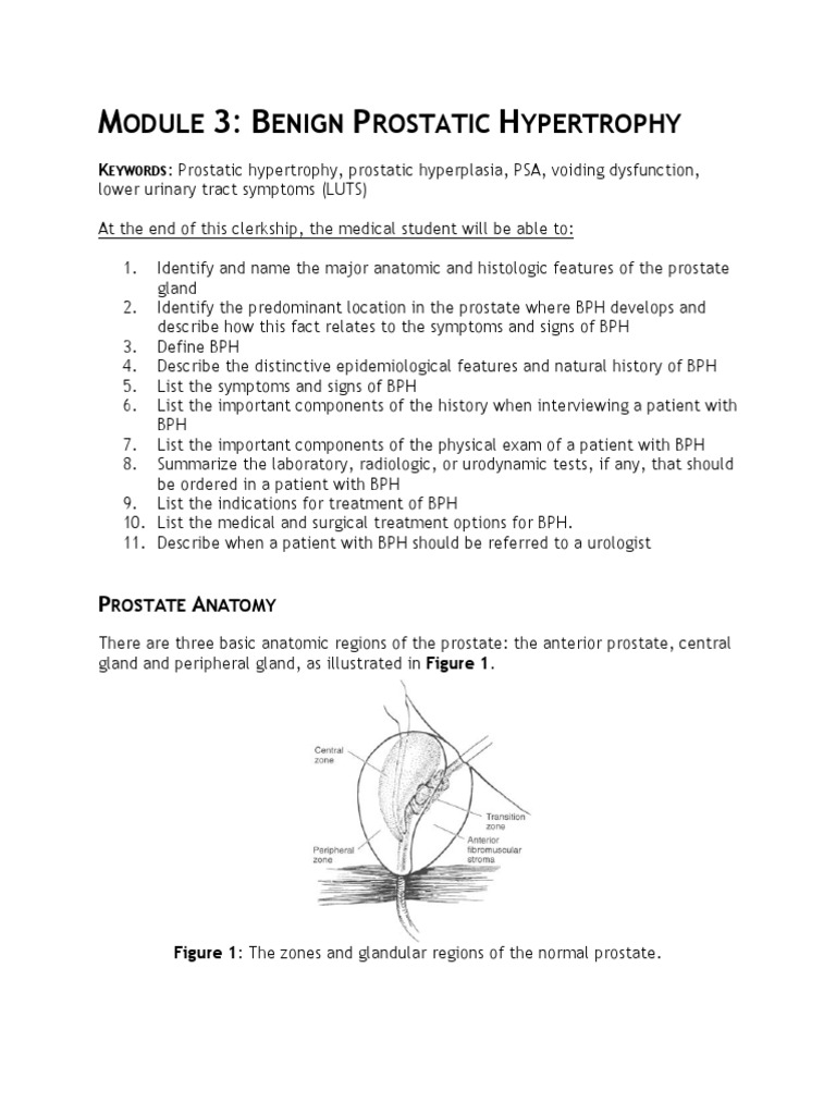Module 3 BPH | Download Free PDF | Prostate Specific Antigen | Prostate