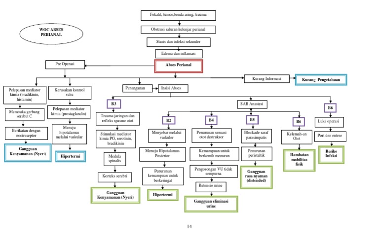 WOC Abses Perianal | PDF
