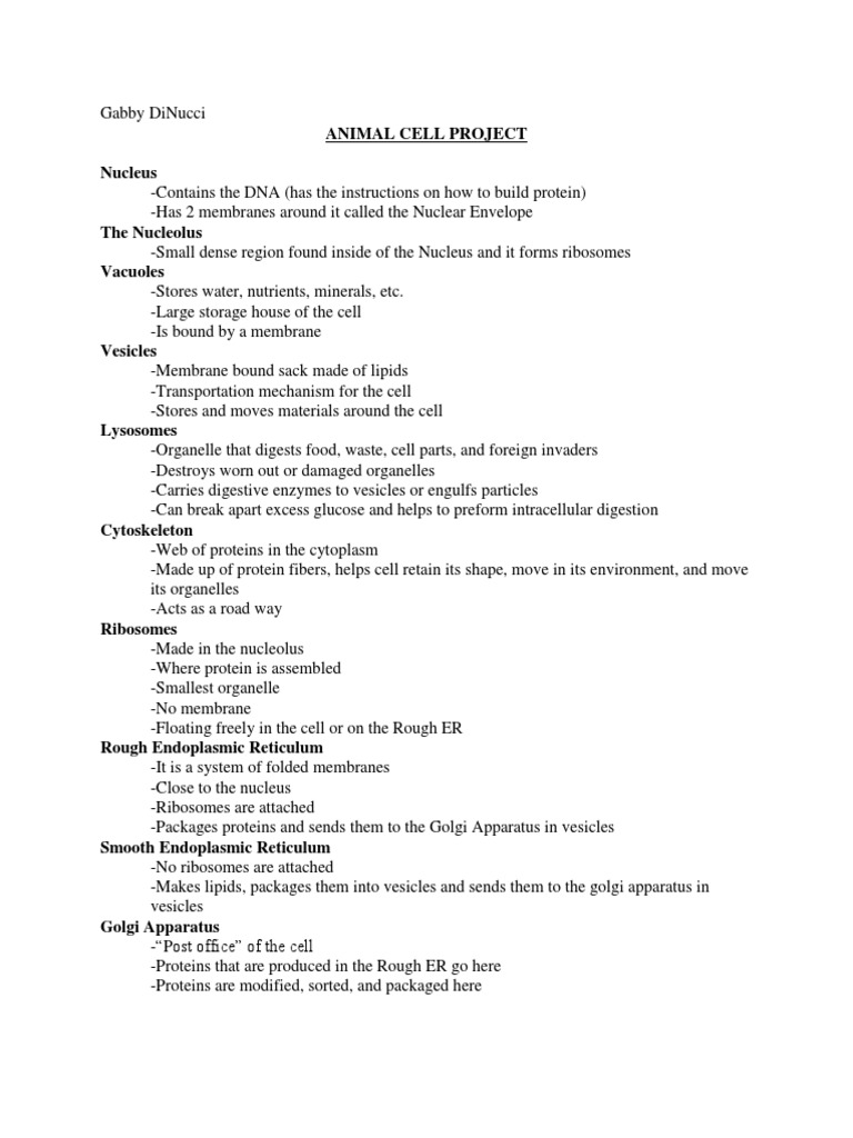 Animal Cell Project Bio Cookie Cake | PDF | Wellness | Science ...