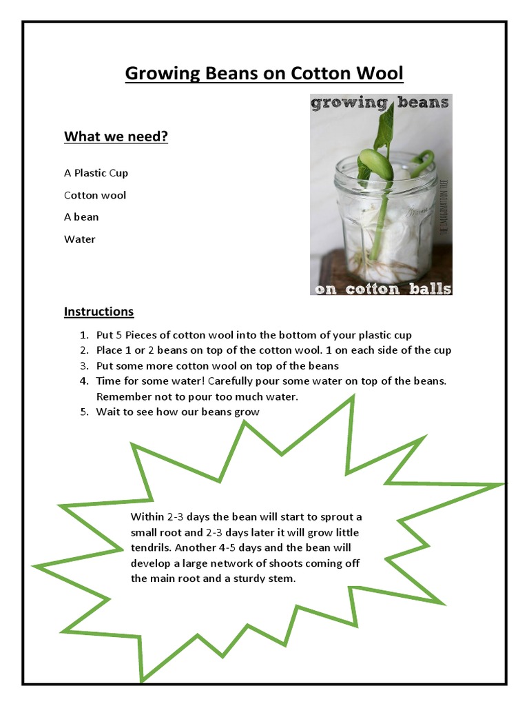 Bean Instructions | PDF