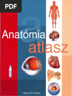 Werner Platzer SH Atlasz Anatómia I. Kötet | PDF