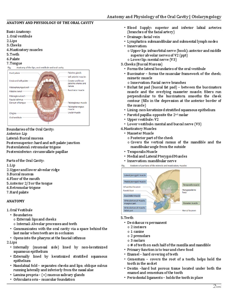Anatomy and Physiology of Oral Cavity | PDF | Tongue | Animal Anatomy