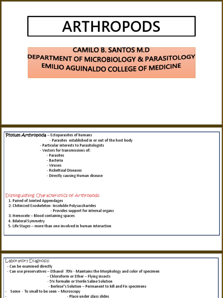 Arthropods Powerpoint | PDF | Mosquito | Wellness