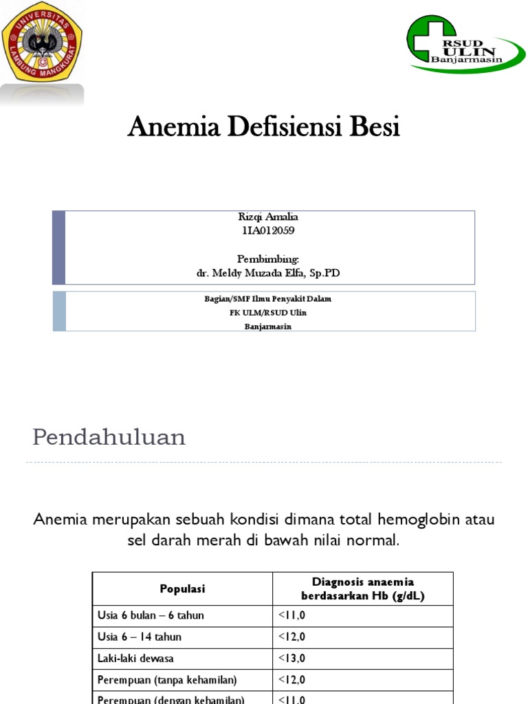 Anemia Defisiensi Besi | PDF