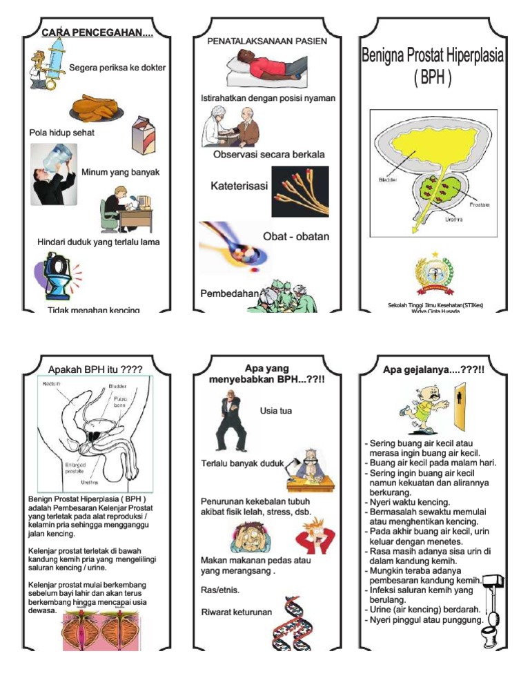 Leaflet-Bph PDF | PDF