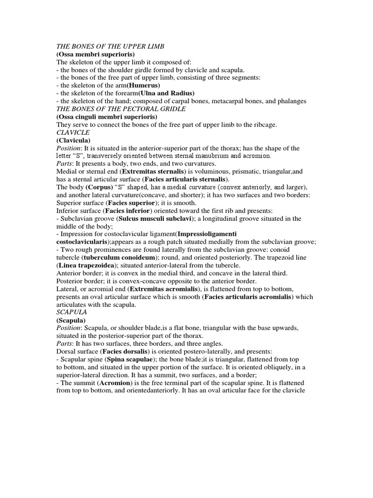 The Bones of The Upper Limb | PDF | Skeletal System | Limbs (Anatomy)