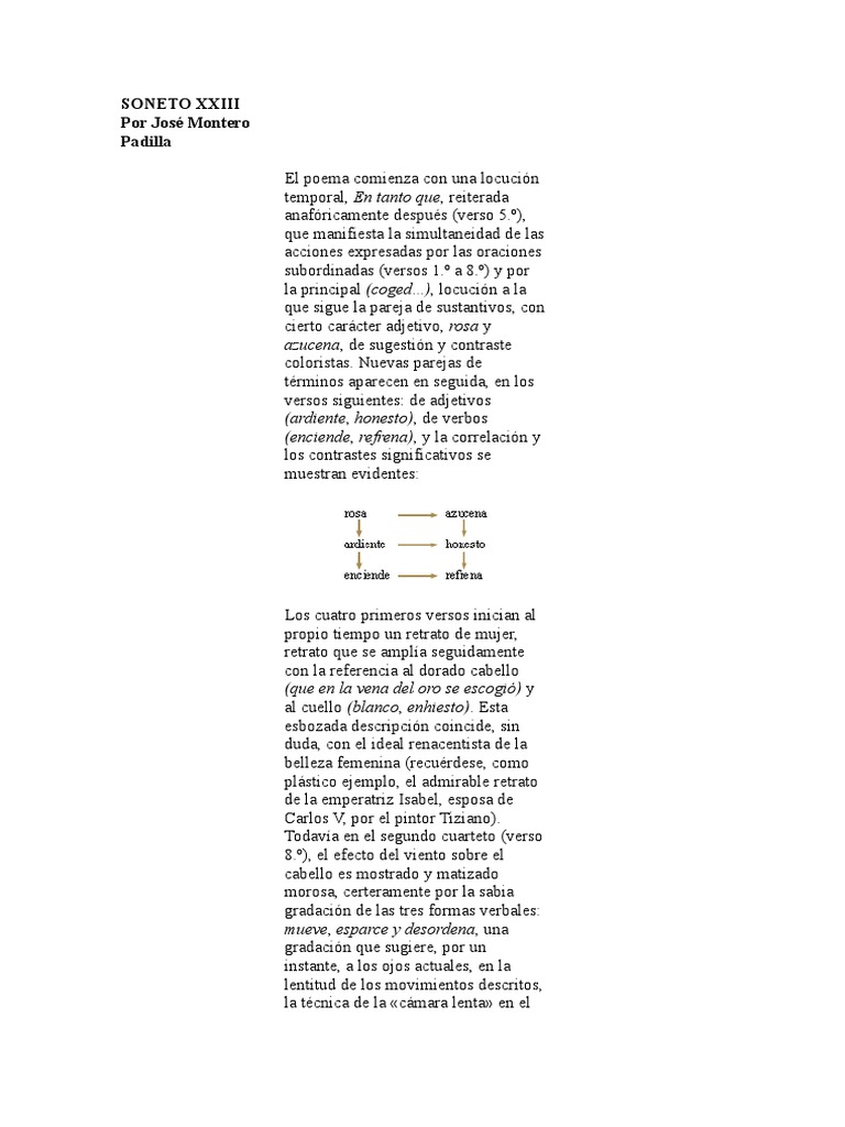 Análisis del Soneto XXIII de Garcilaso | PDF | Metro (poesía) | Poesía
