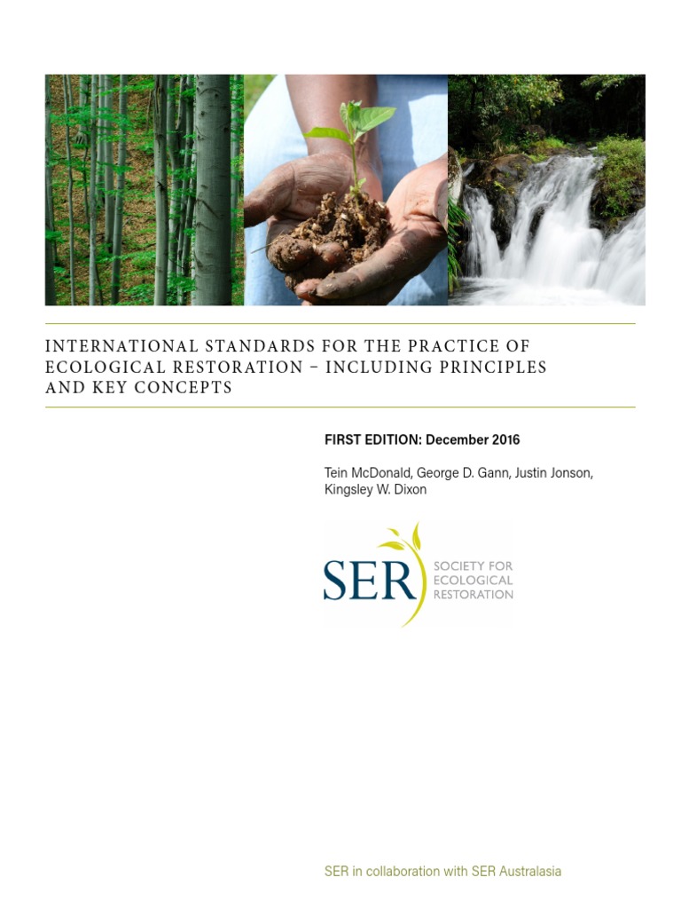 2016 SER International Standards PDF | Download Free PDF | Restoration ...