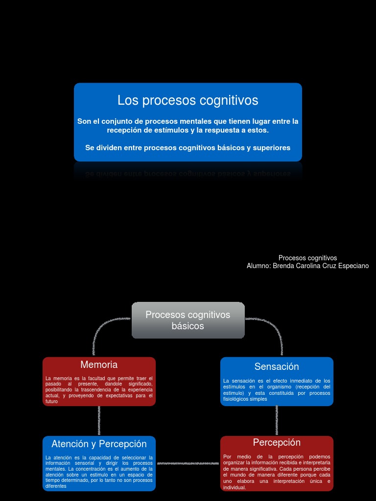 Procesos Cognitivos Basicos y Superiores | PDF | Percepción | Atención